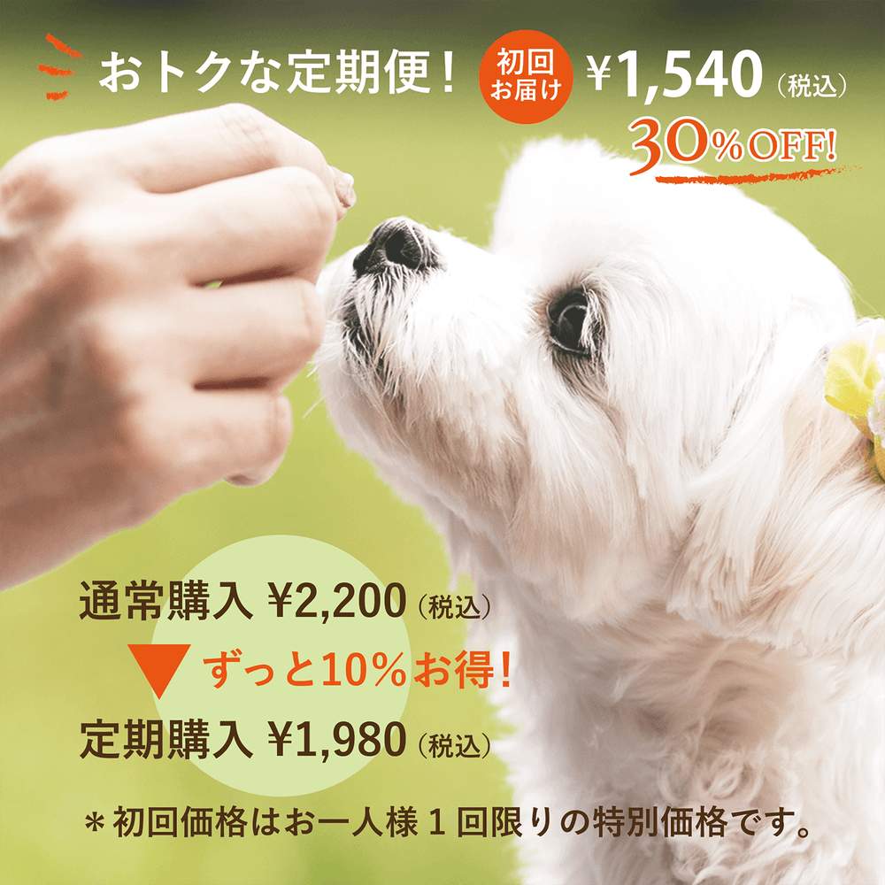 フィルプラス+L8020 30枚入り｜犬猫用口腔ケアサプリメント – Miyarisan Wellness